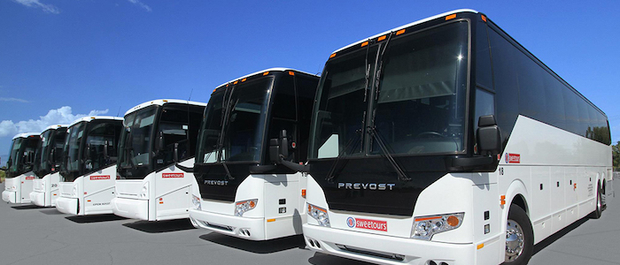 Grand Canyon South Rim Bus Tour